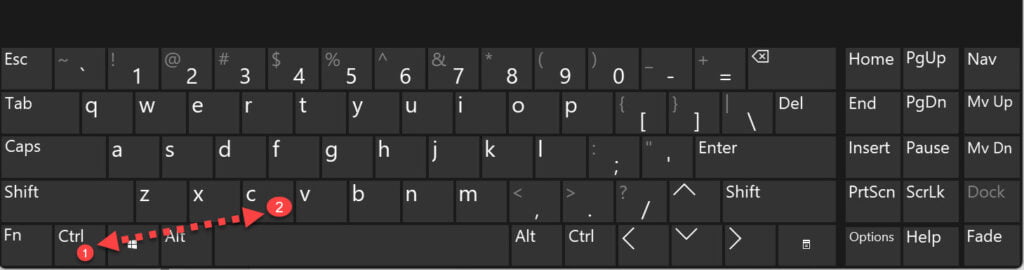 Copying Text in Word Using Keyboard Shortcut - Excellopedia